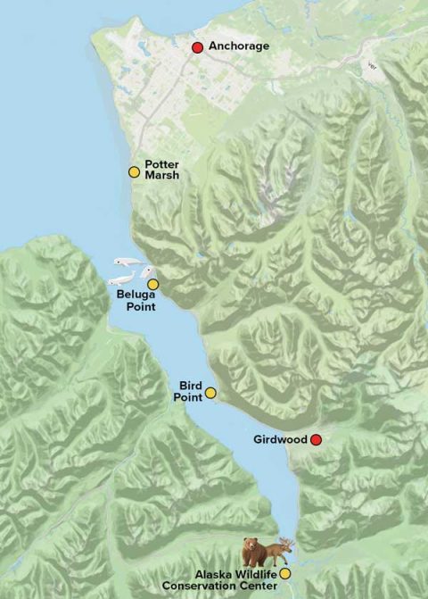 Alaska's Finest Tours & Adventures - Anchorage To Girdwood Shuttle ...